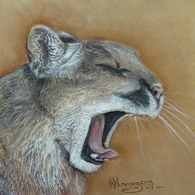 mountain lion coloring picture