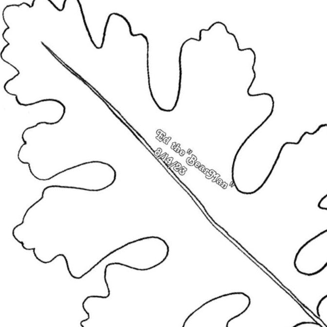 Oak Leaf Outline