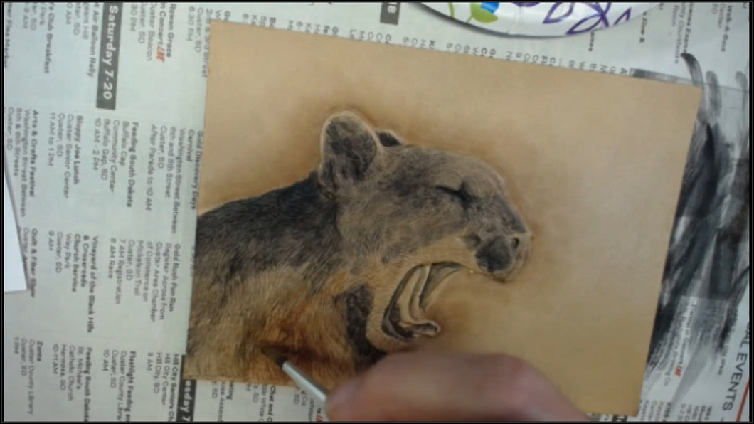 mountain lion coloring picture