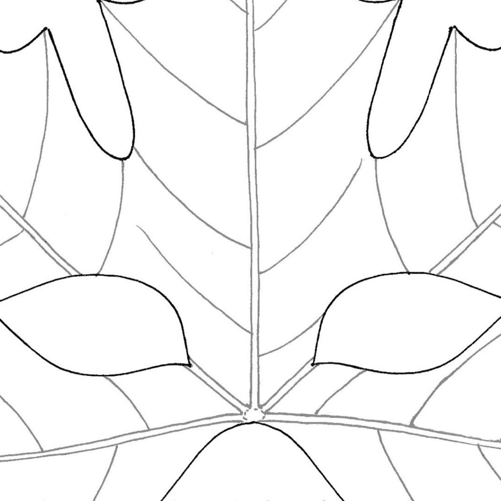 Free Mask Pattern for Leather Leaf Mask by Annie Libertini – Elktracks ...