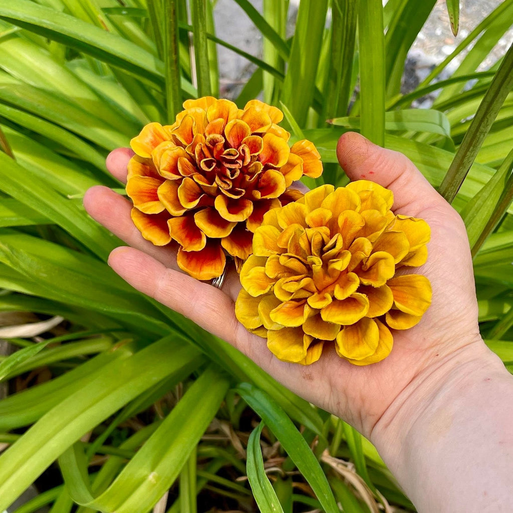 3-D Leather Marigolds with Annie Libertini – Elktracks Studio