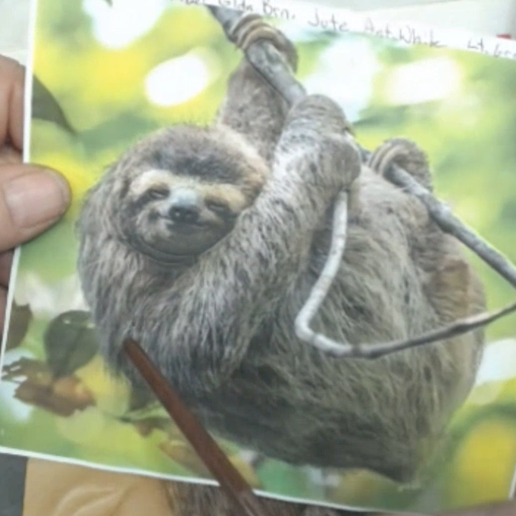 Realistic Textures: Coloring a Sloth with Kathy Flanagan – Elktracks Studio