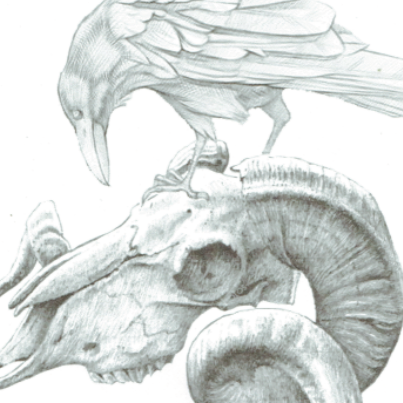 Pattern for 3-D Raven with Ram Skull by Jürgen Volbach – Elktracks Studio