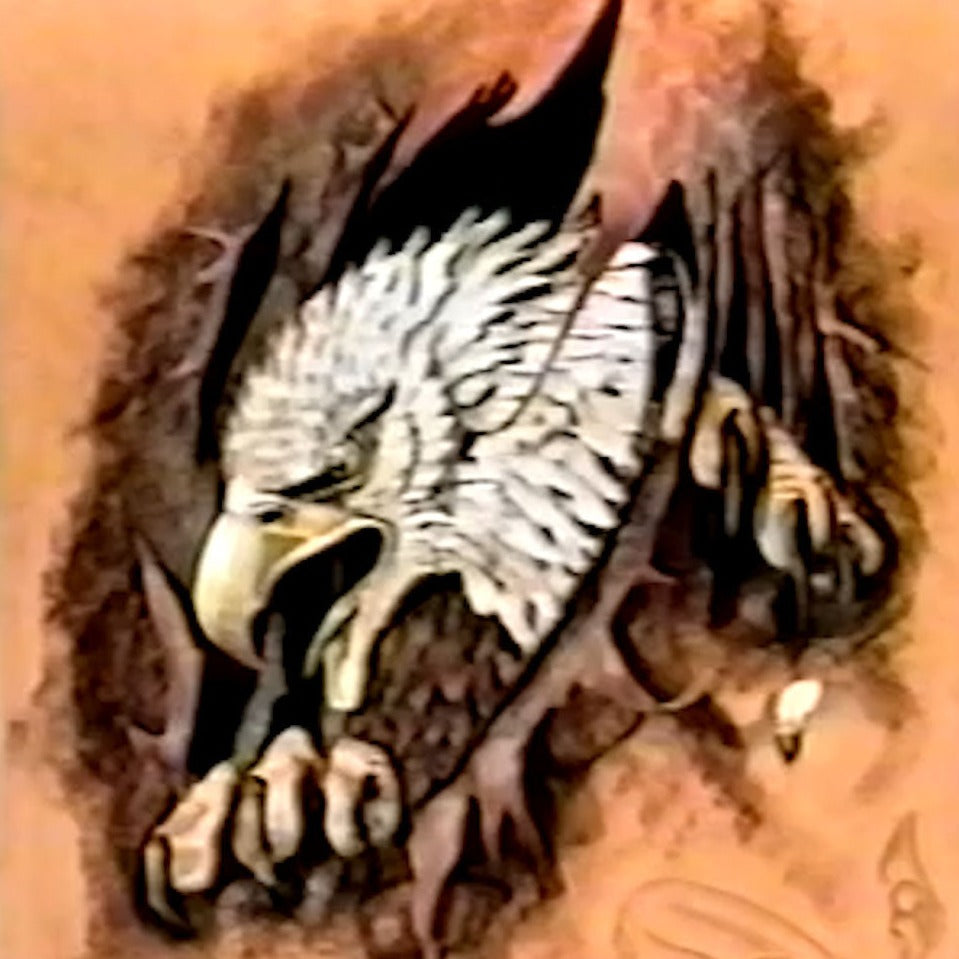 Breaking Out Eagle by Robb Barr – Elktracks Studio
