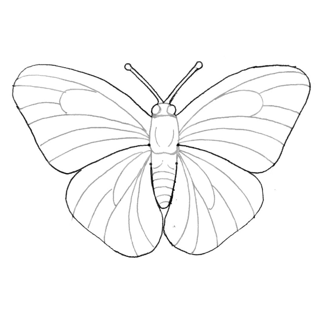 Butterfly Patterns To Trace