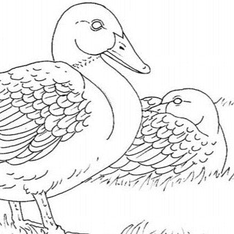 Free Duck Leathercraft Pattern by Annie Libertini – Elktracks Studio