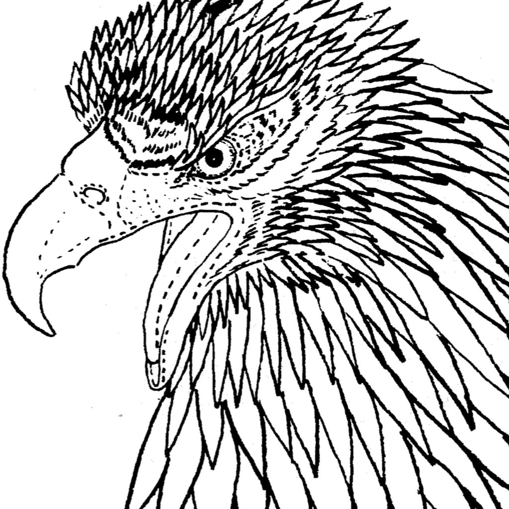 Eagle Head Portrait Pattern by Robb Barr – Elktracks Studio