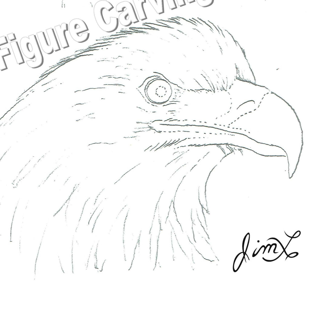 Free Leathercraft Pattern Eagle from Simple Figure Carving Workshop ...