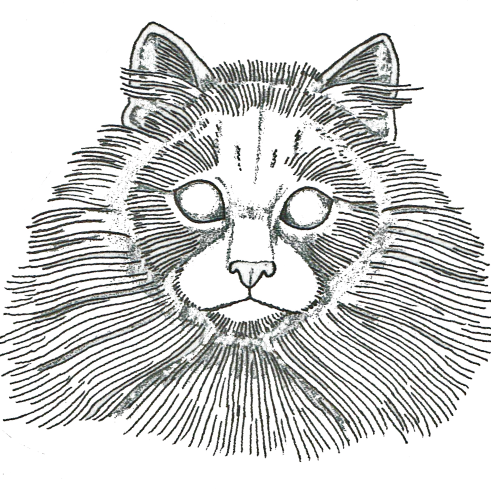 Free Pattern for Feline Figure Carving Workshop – Elktracks Studio