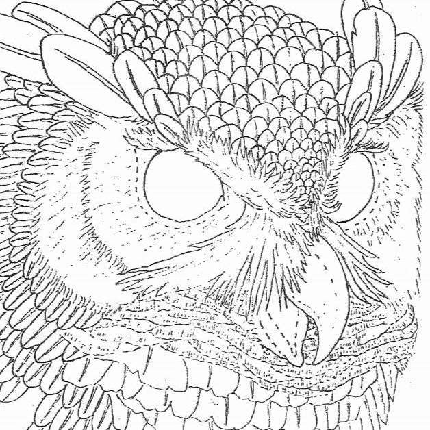 Free Great Horned Owl Pattern by Robb Barr – Elktracks Studio