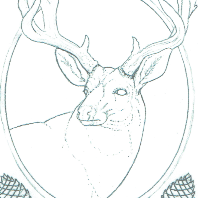 Free Pattern for Mule Deer Figure Carving Workshop – Elktracks Studio