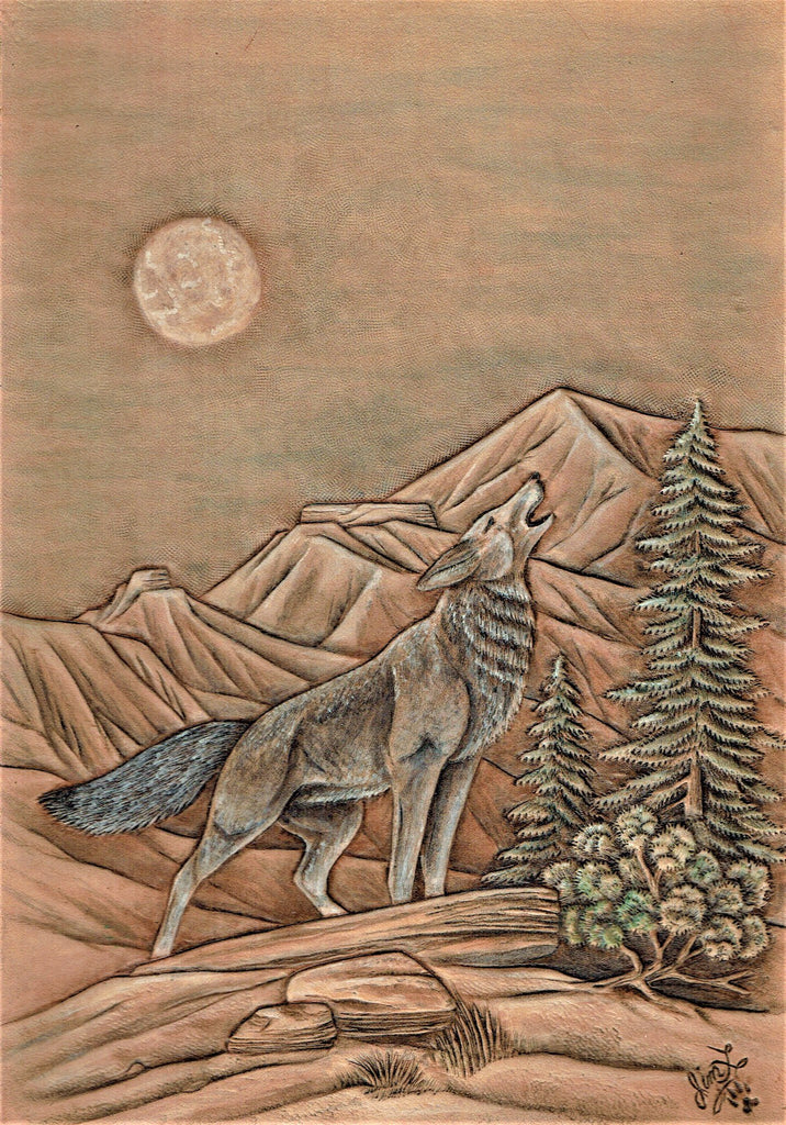 Stohlman Coyote: Pictorial and Figure Painting – Elktracks Studio