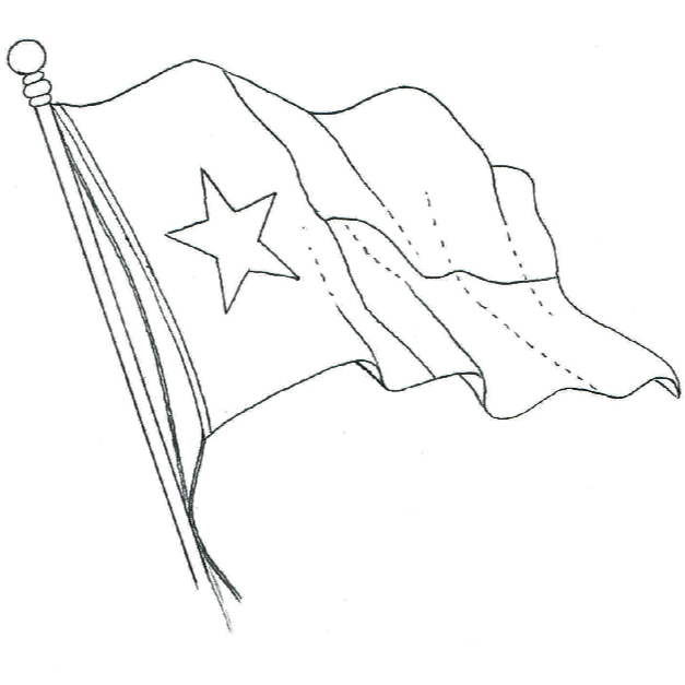 Charcoal Drawings Of The Texas Flag Rich Texan Stock Illustrations