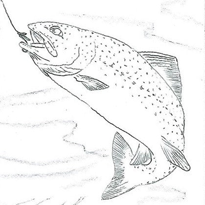 Free Trout Pattern for Leather by Jim Linnell – Elktracks Studio