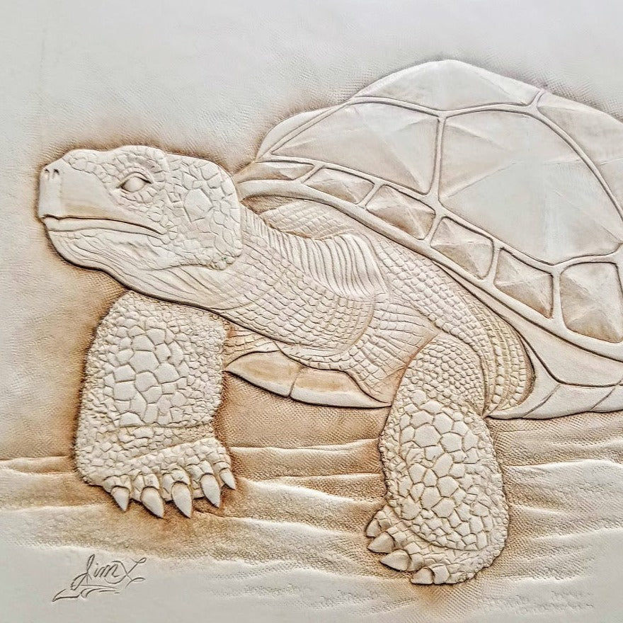 Figure Carving Turtles and Tortoises – Elktracks Studio